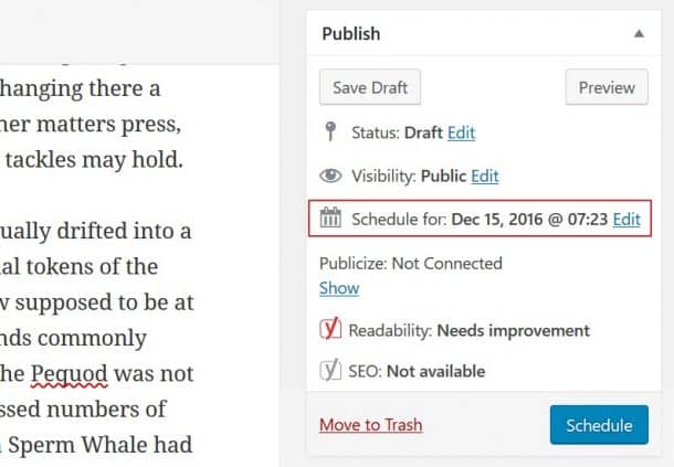 A Beginner’s Guide on Scheduling Your WordPress Posts - WP Newsify