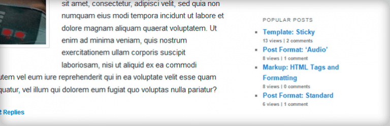 Use WordPress Widgets to Complete Tasks Quickly and Efficiently