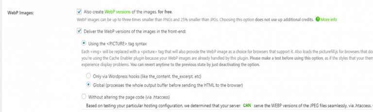 What Is WebP And How To Enable It On Your WordPress Website? - WP Newsify